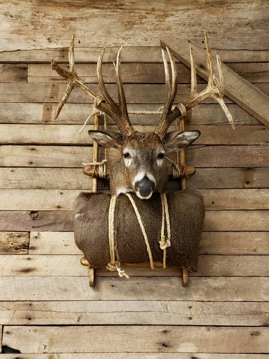Captain s Classic Whitetail Deer Taxidermy Pack Mount For Sale Ubicaciondepersonas cdmx gob mx